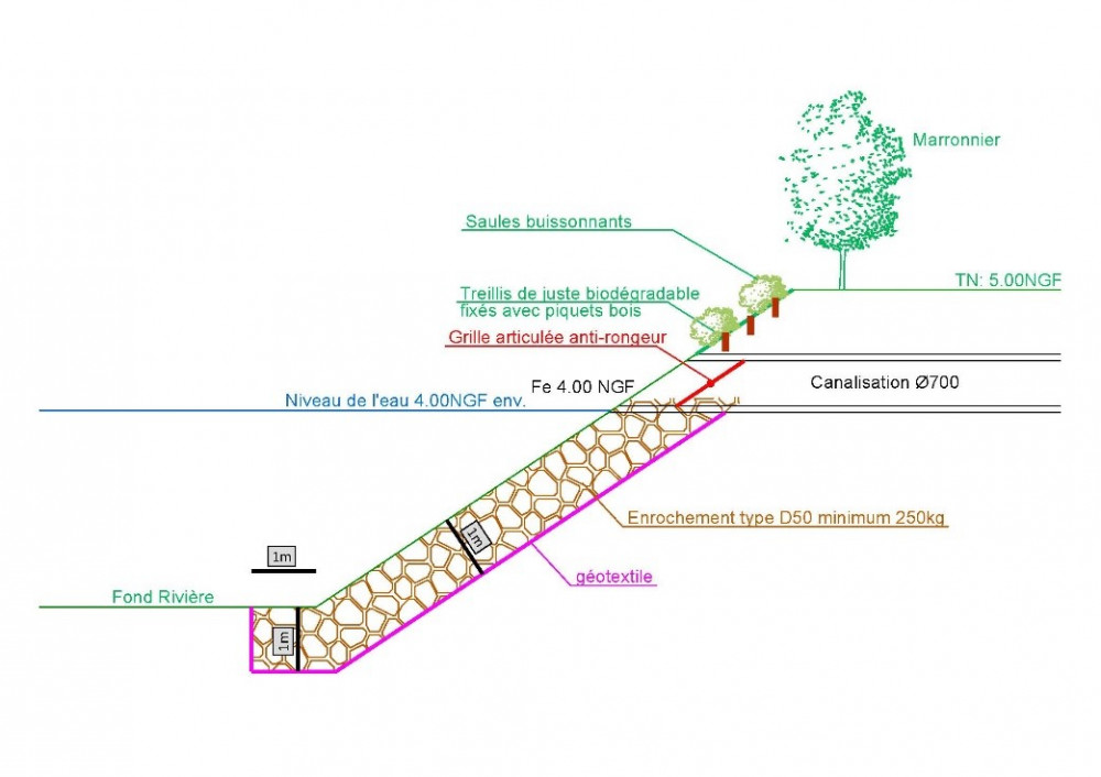 Renforcement du réseau Eaux Pluviales Rue des Platanes